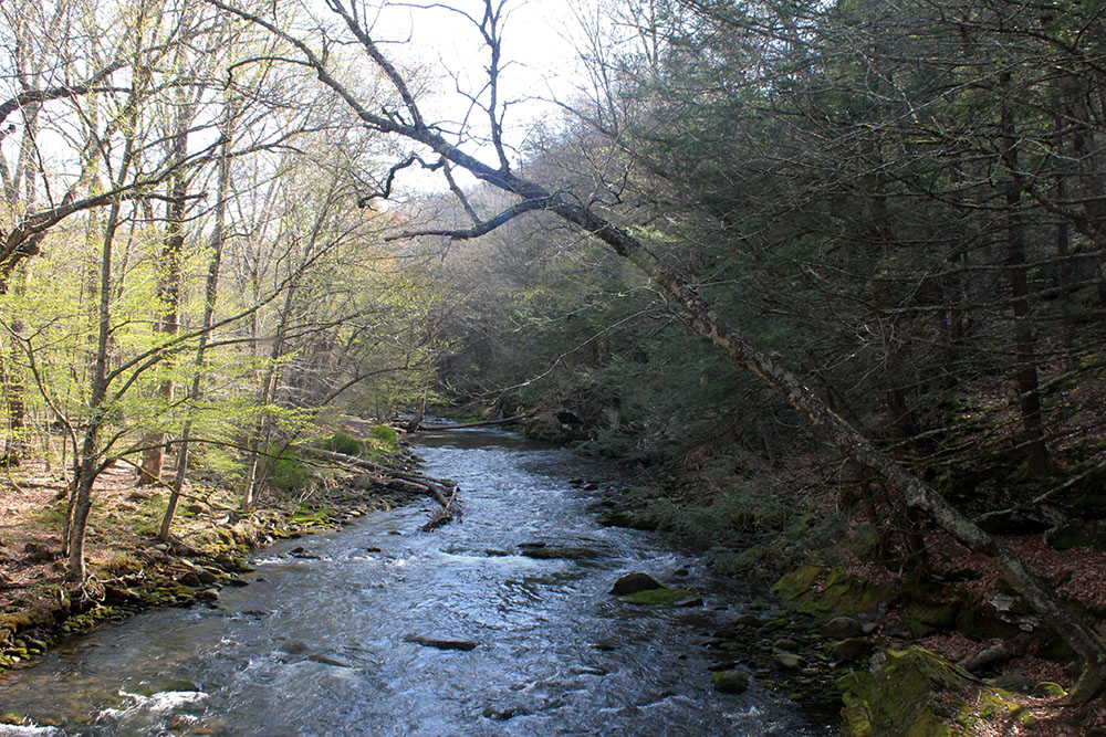 River – Catskill Waters